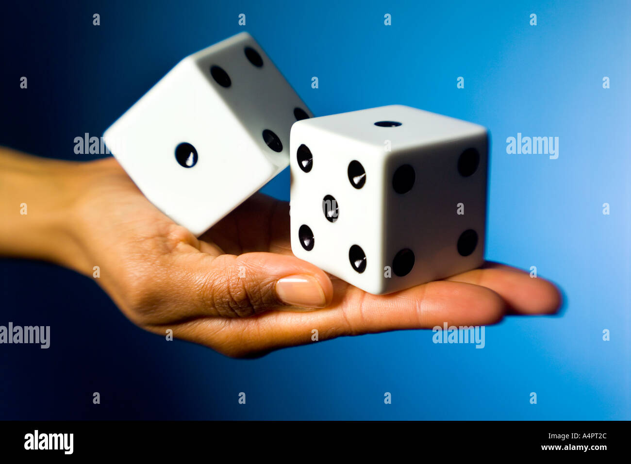 Hand holding dice Stock Photo - Alamy