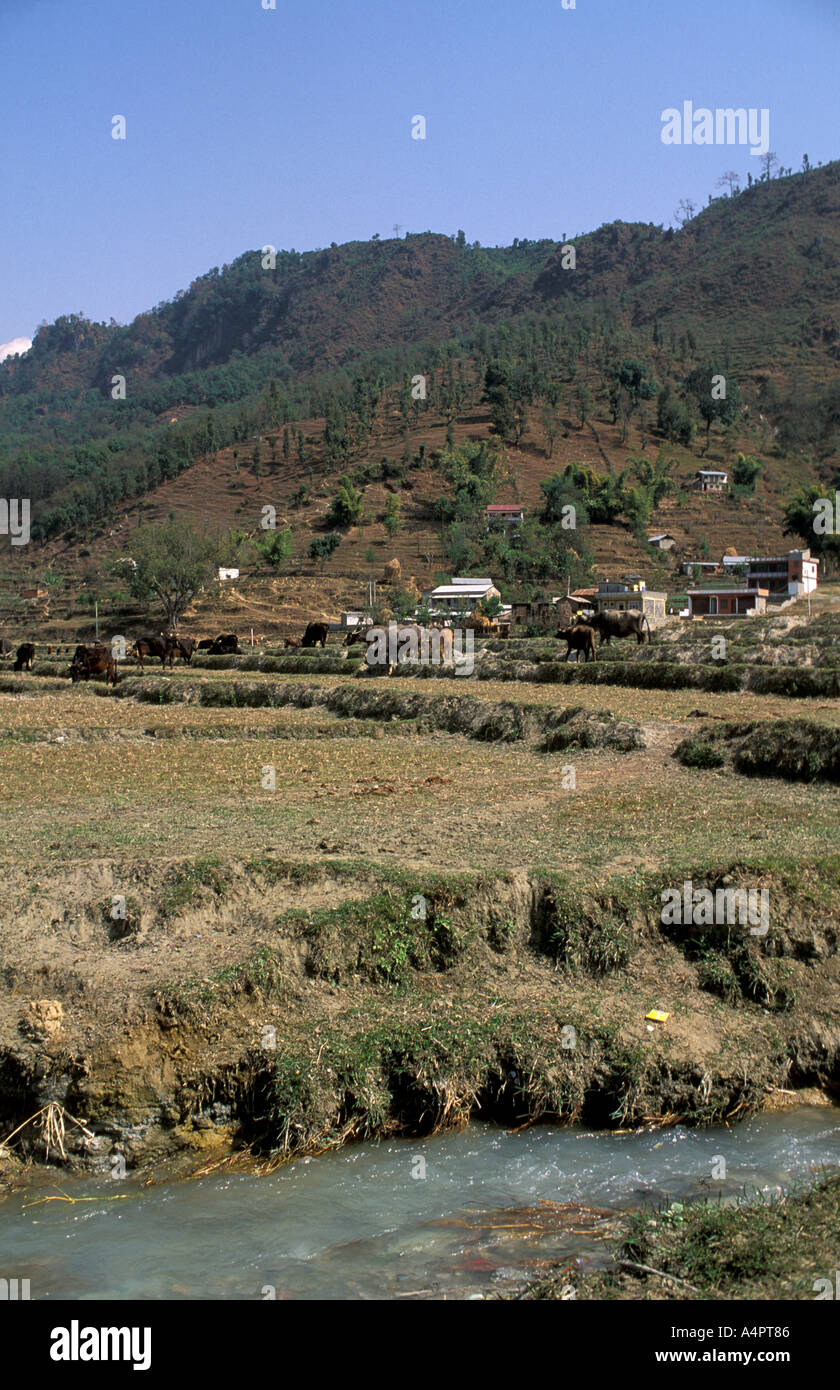 Pokhara location hi-res stock photography and images - Alamy