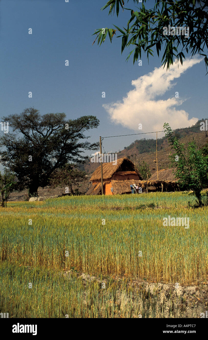 Traditional Farm Building Near Pokhara Nepal Stock Photo - Alamy