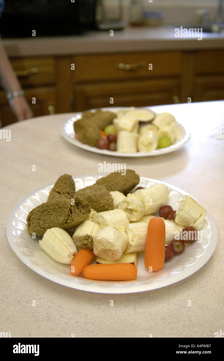 Monkey food is waiting on 2 styrofoam plates Stock Photo - Alamy