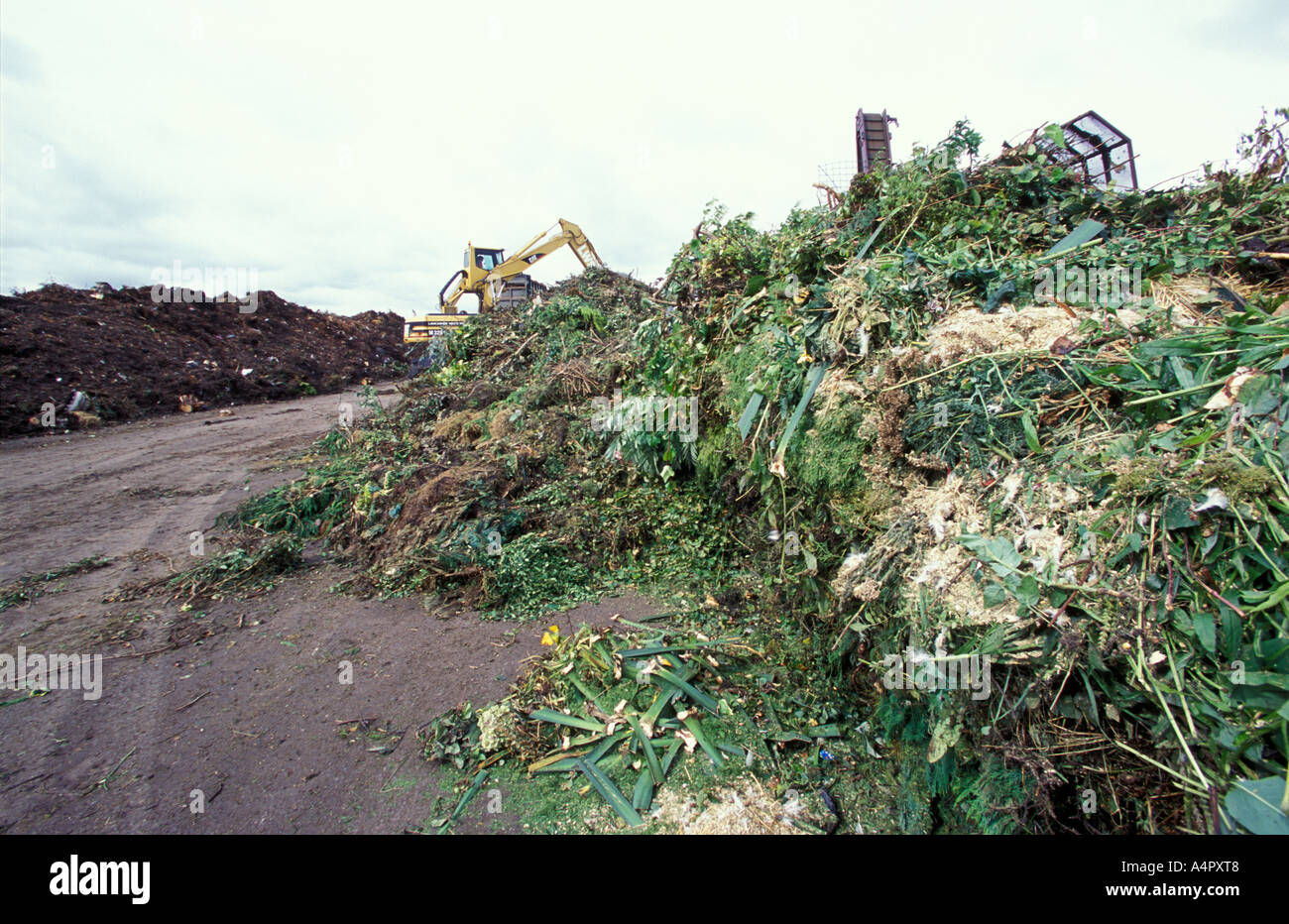 green waste piled in a landfill site ready for composting Stock Photo ...