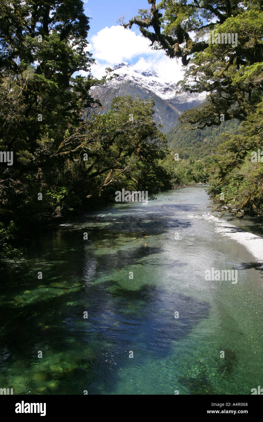 Milford track new zealand hi-res stock photography and images - Alamy