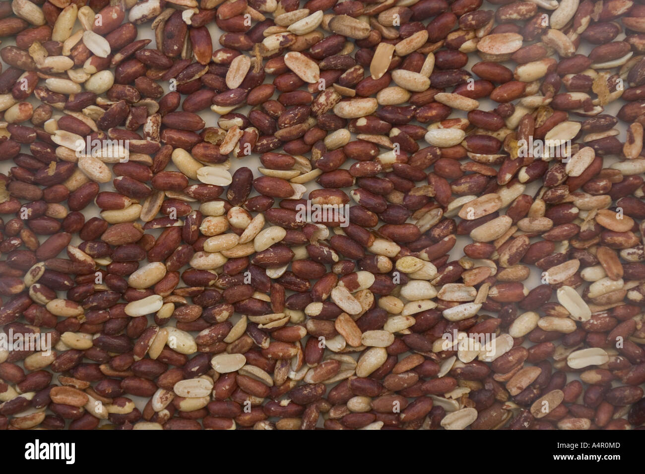 Full frame shot peanuts hi-res stock photography and images - Alamy