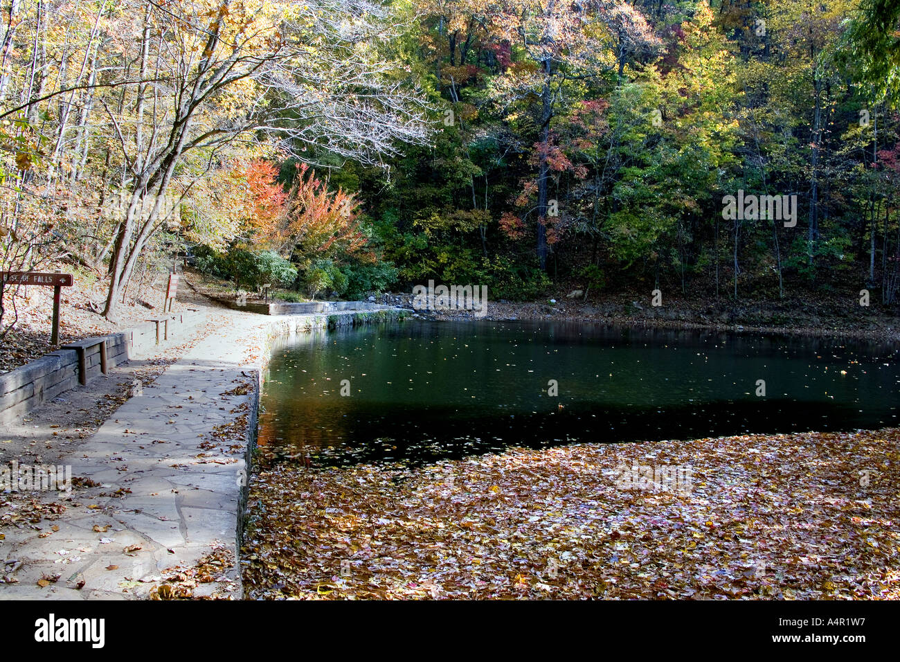 Amicalola Falls - lower pool Stock Photo - Alamy