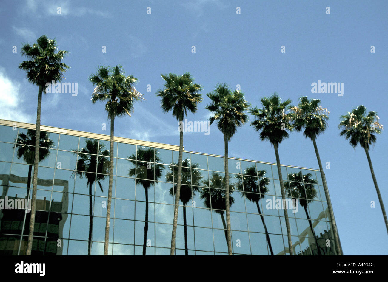 USA, office building in L.A Stock Photo - Alamy