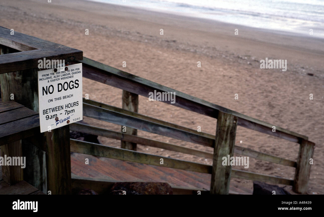 no dogs sign at entrance to beach public health Stock Photo - Alamy