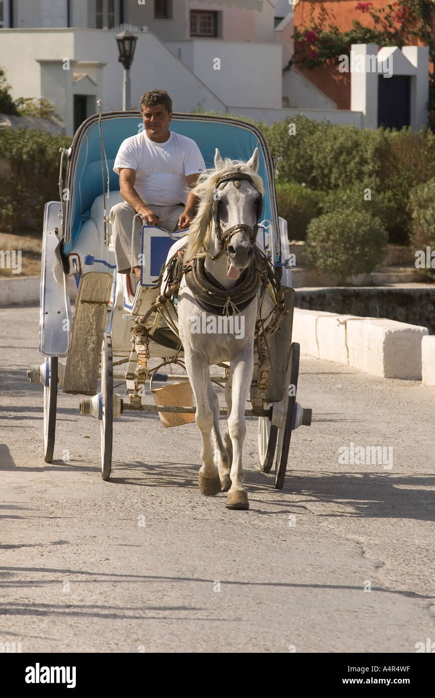Man sitting on horse carriage hi-res stock photography and images - Alamy