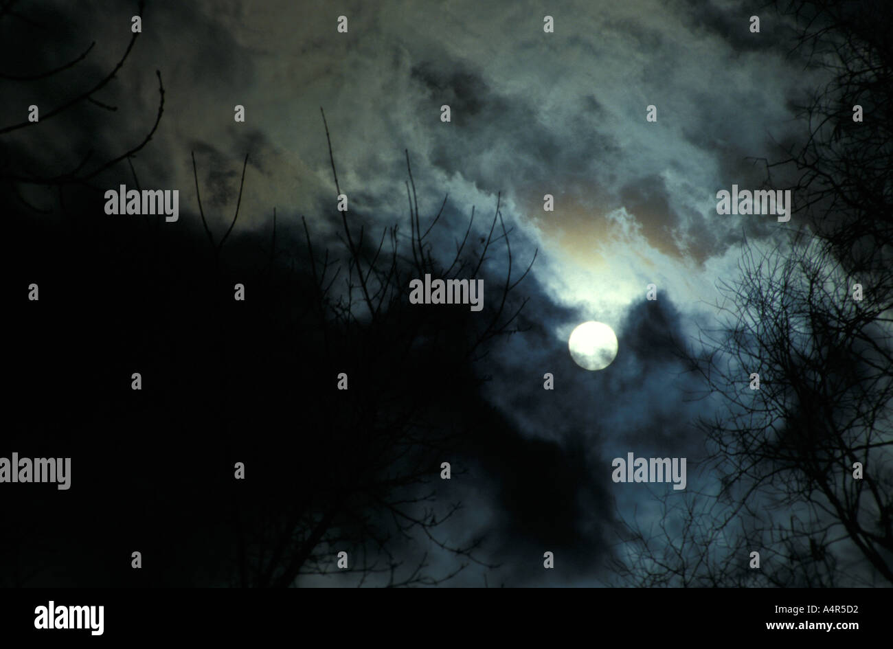 Germany, Bavaria, Full moon Stock Photo - Alamy