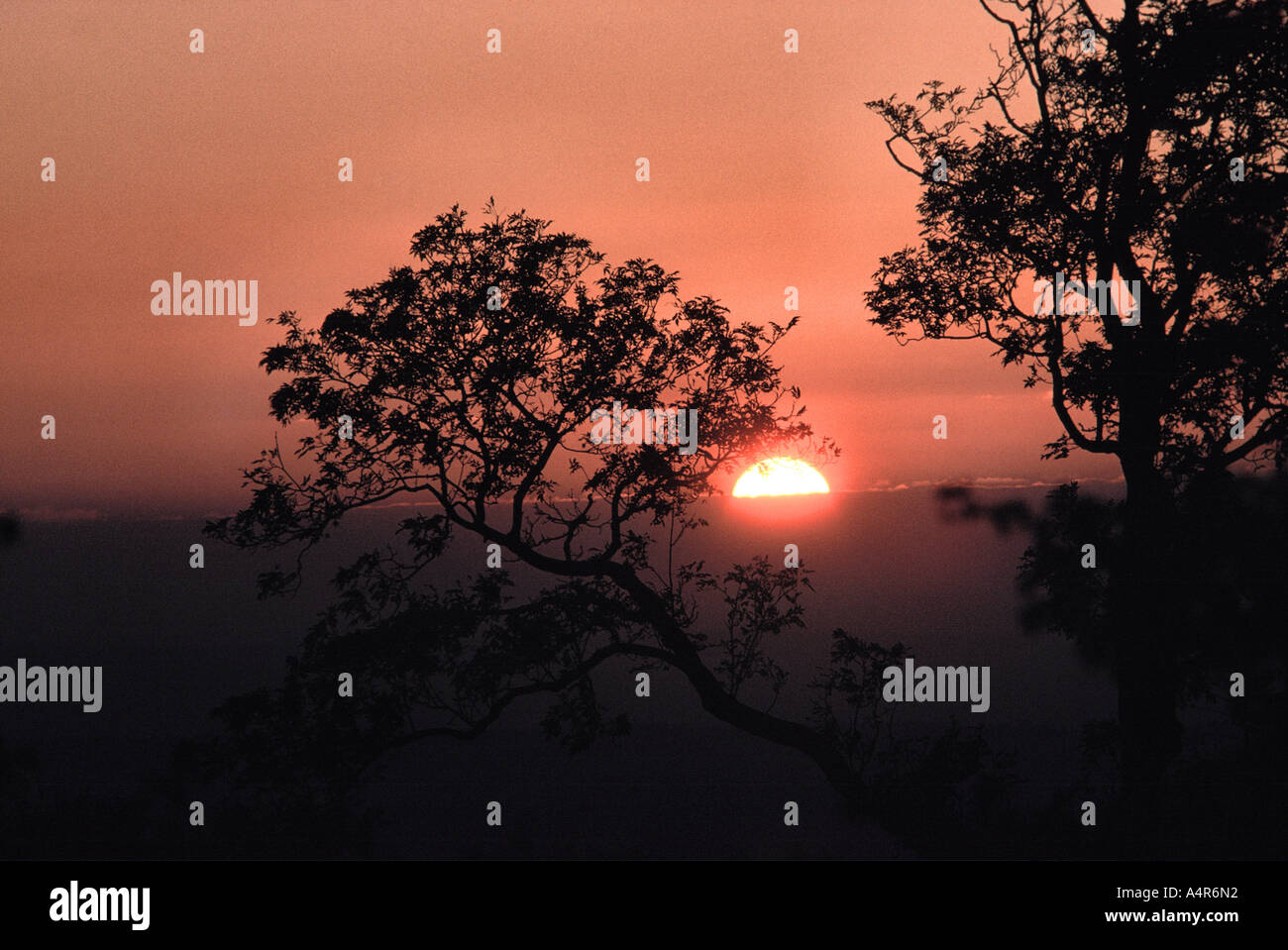 Red Sunset with trees in Yorkshire Stock Photo - Alamy