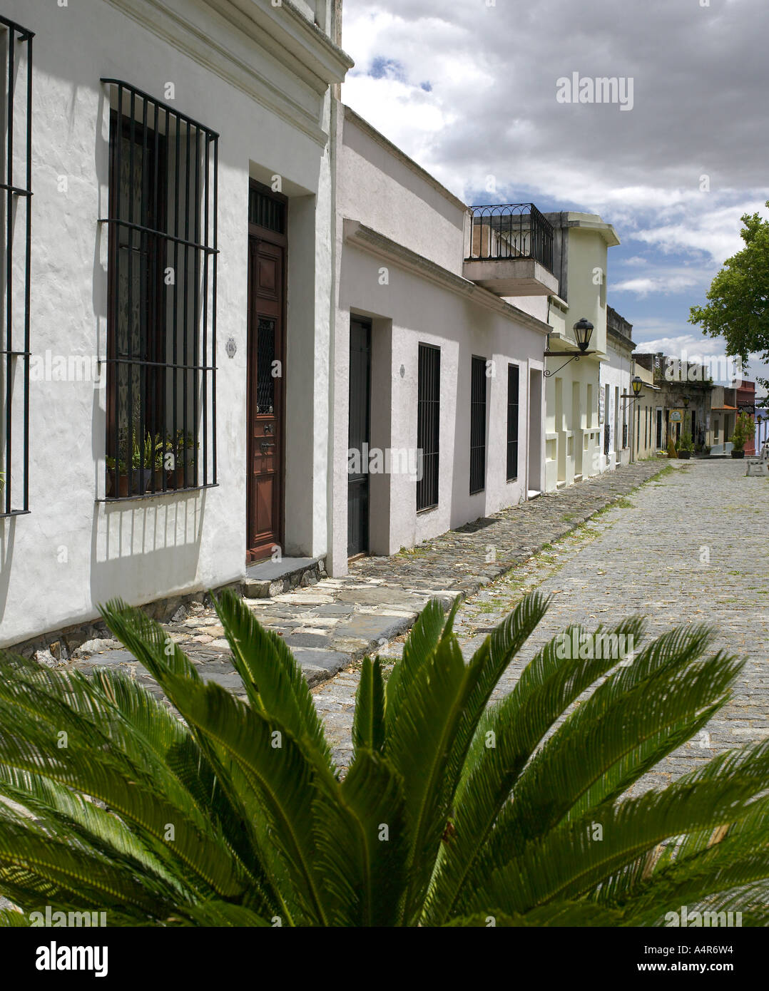 Houses in the colonial town of Colonia in Uruguay in South America. A ...