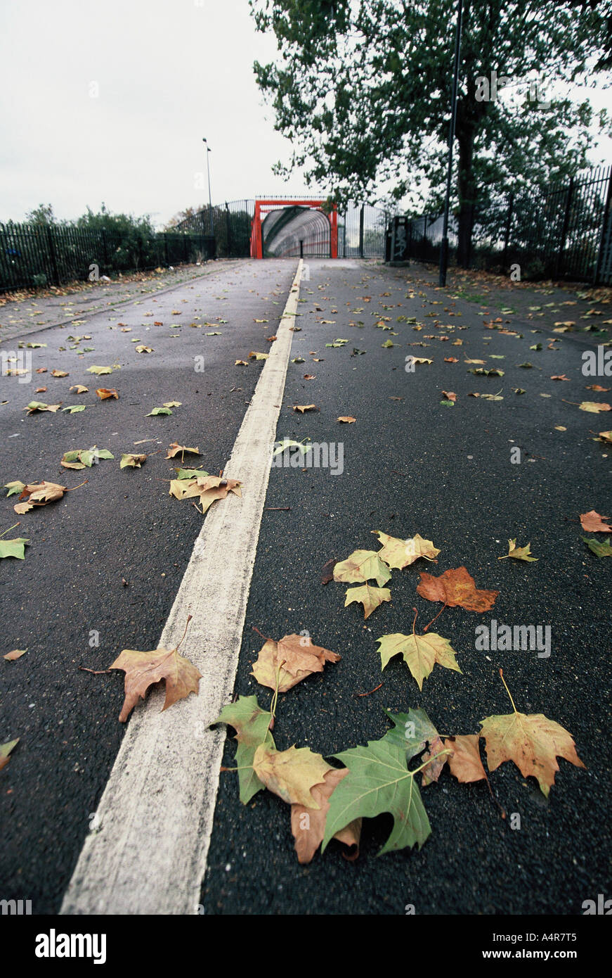 White line on cycle path, autum leaves and pedestrian bridge Stock ...