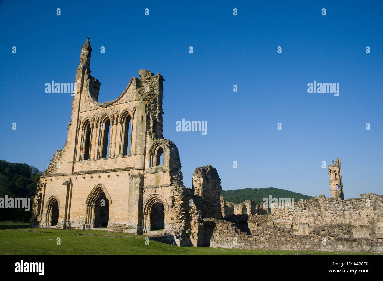Byland Abbey near Wass North Yorkshire England UK Stock Photo - Alamy
