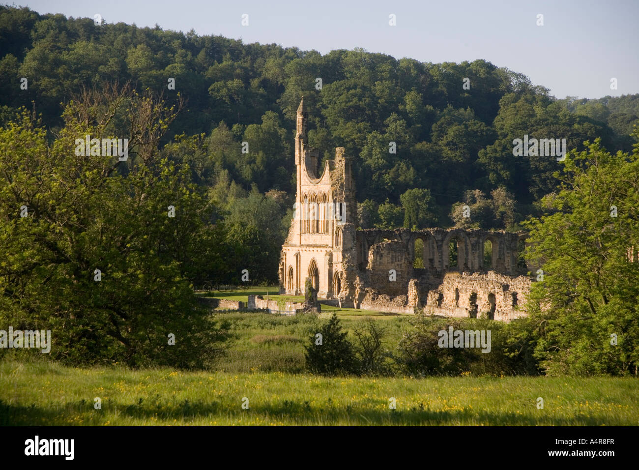 Byland Abbey near Wass North Yorkshire England UK Stock Photo - Alamy