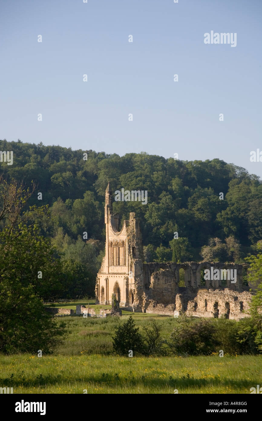 Byland Abbey near Wass North Yorkshire England UK Stock Photo - Alamy