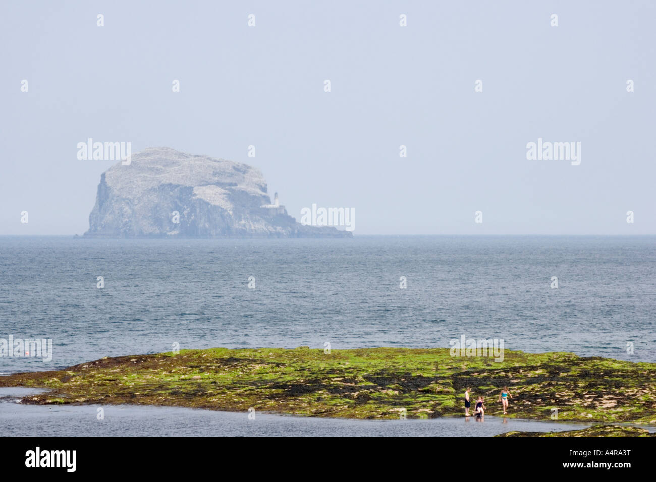 High bass rock scotland hi-res stock photography and images - Alamy