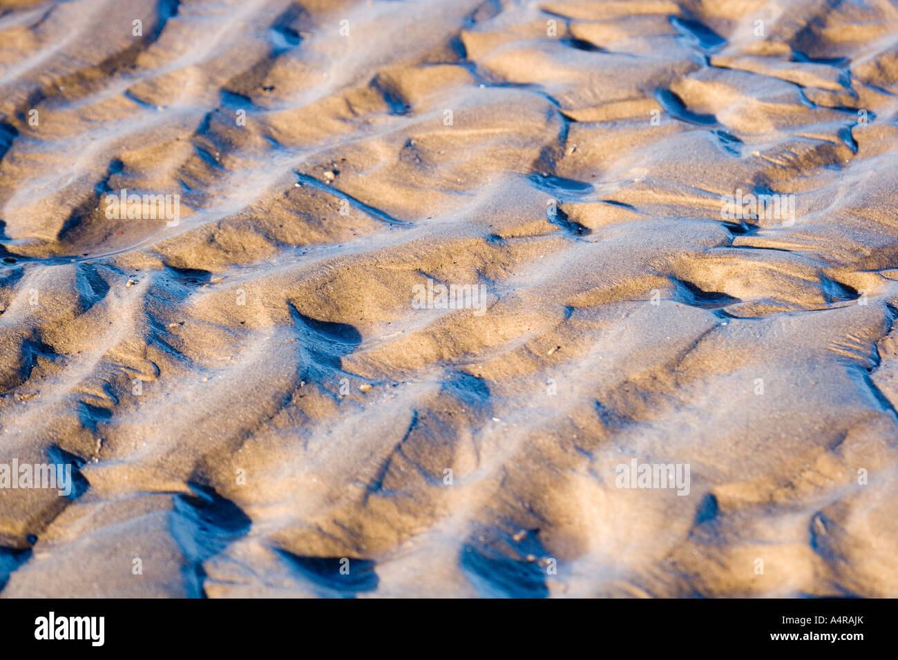 Winter sunlight on sandy beach Lincolnshire England UK Stock Photo - Alamy