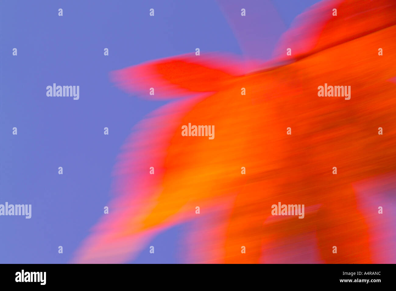 Moving leaf hi-res stock photography and images - Alamy