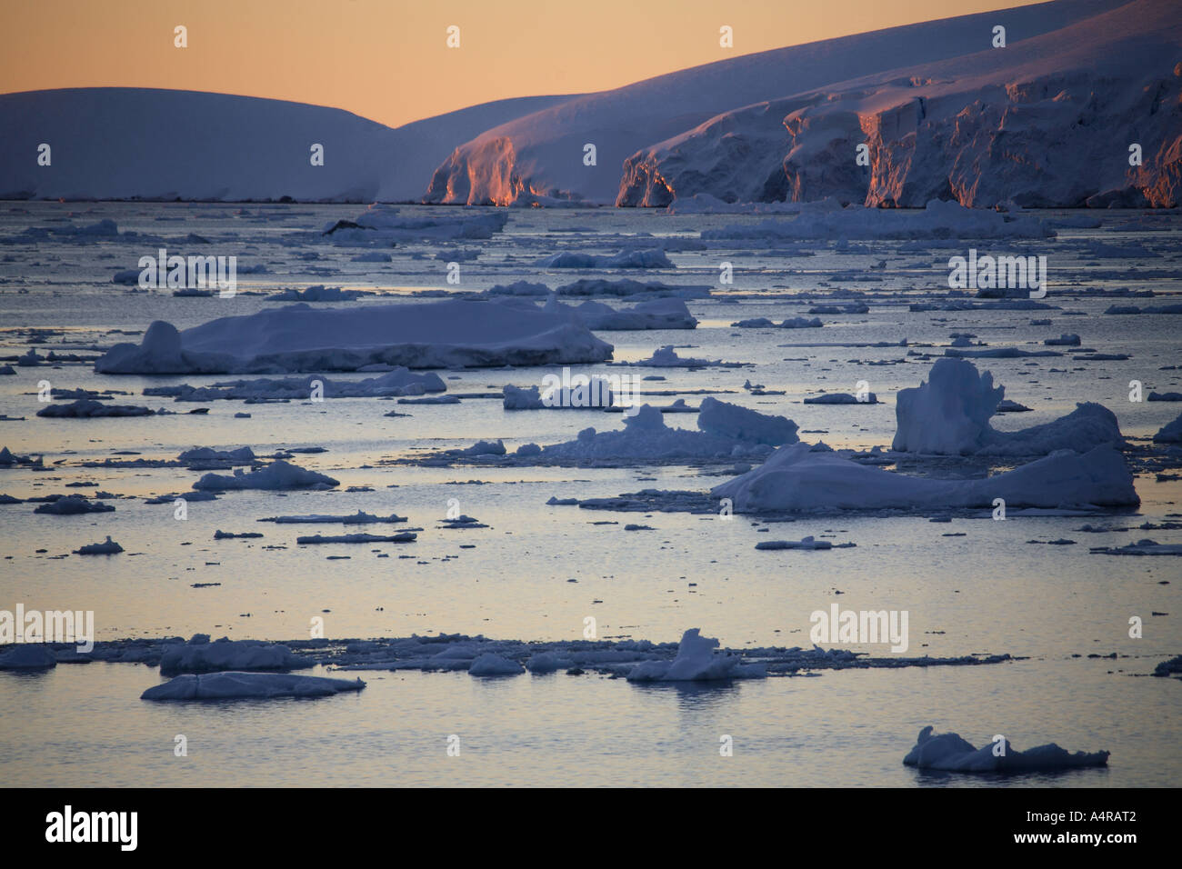 Sea ice floating in the Lamaire Channel in Antarctica Stock Photo - Alamy
