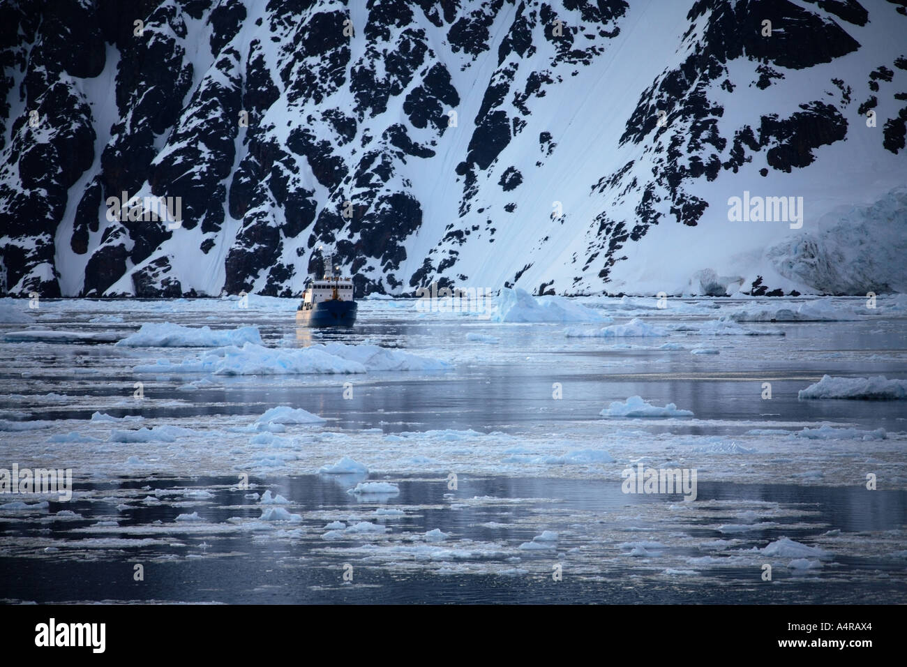 Ship navigating its way through the sea ice in the Lamaire Channel in ...