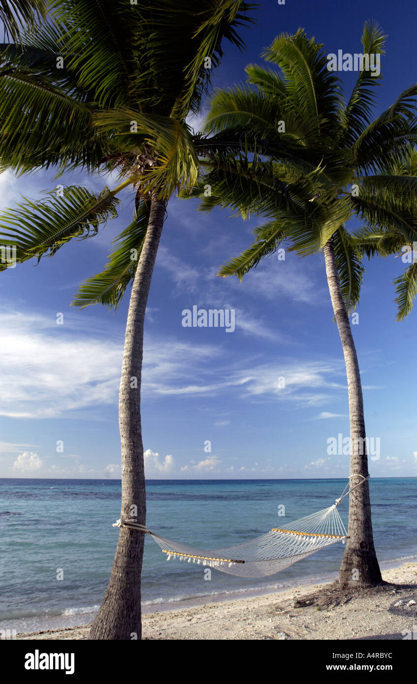 Hammock between two palm trees on an idyllic tropical beach in the Cook Island in the south ...