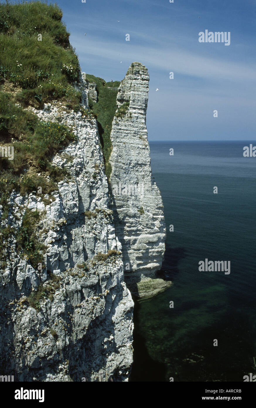 Chalk Cliffs, Etretat, Normandy, France Stock Photo - Alamy