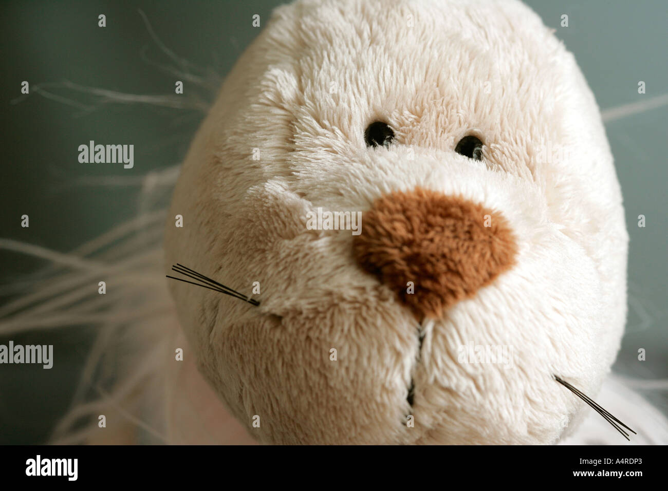 Beaver castor doll toy sideshow side show stall stand fun animal figure ...