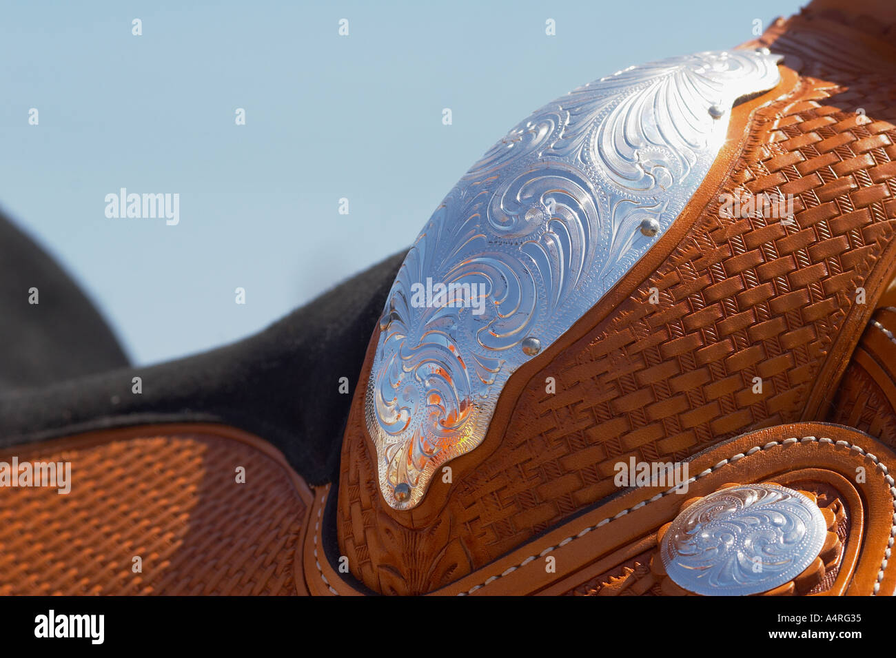 A horse saddle close up Stock Photo - Alamy