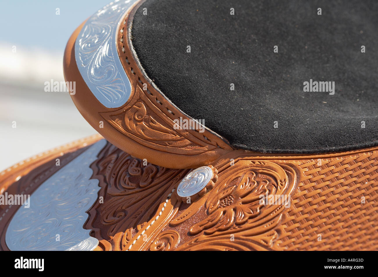 A horse saddle close up Stock Photo - Alamy