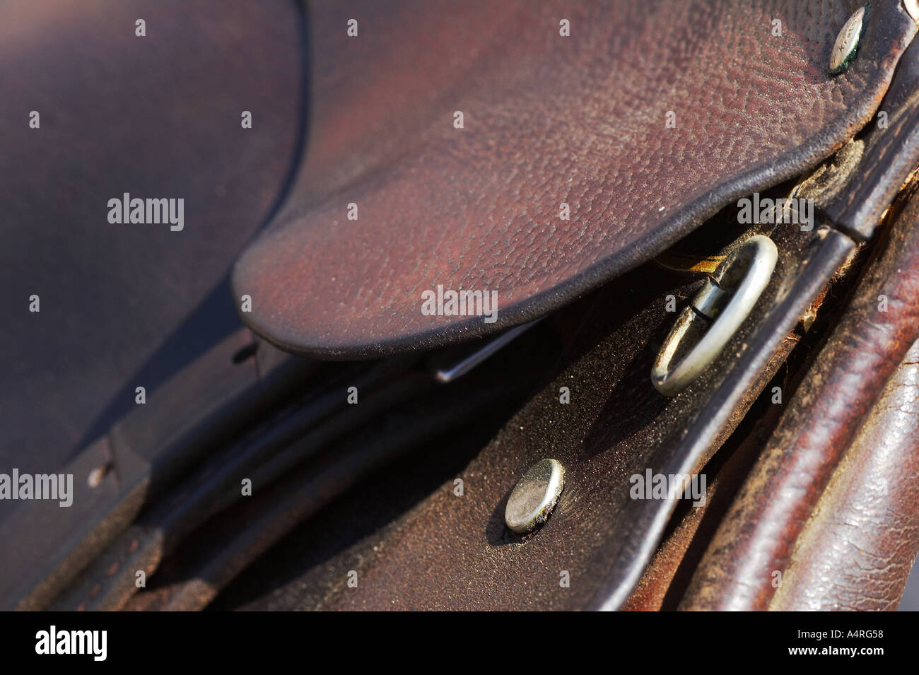 A horse saddle close up Stock Photo - Alamy