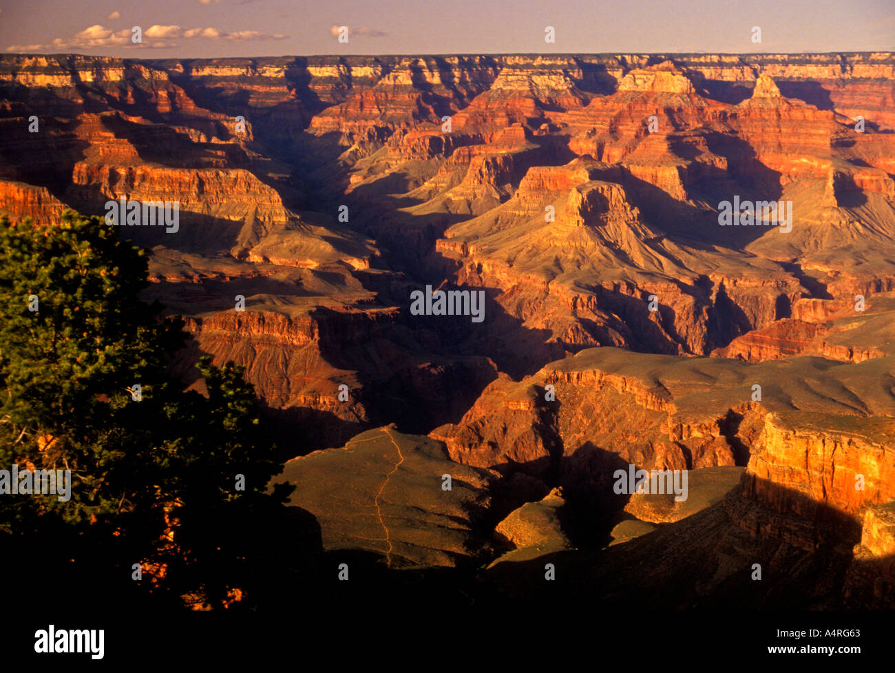 view from Trailview Overlook on the south rim of the Grand Canyon in ...