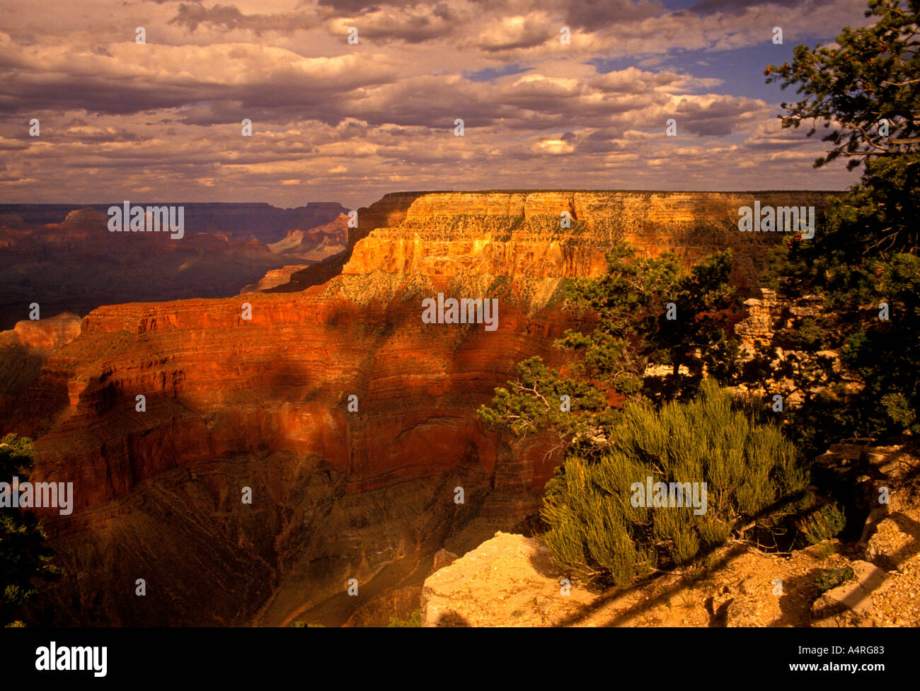 Grand Canyon, viewed from Pima Point, Pima Point, South Rim, Grand ...