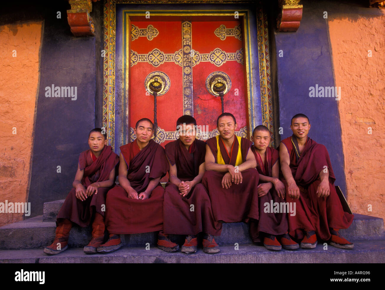 6, six, Tibetan monk, Tibetan monks, Yellow Hat monk, Yellow Hat monks ...