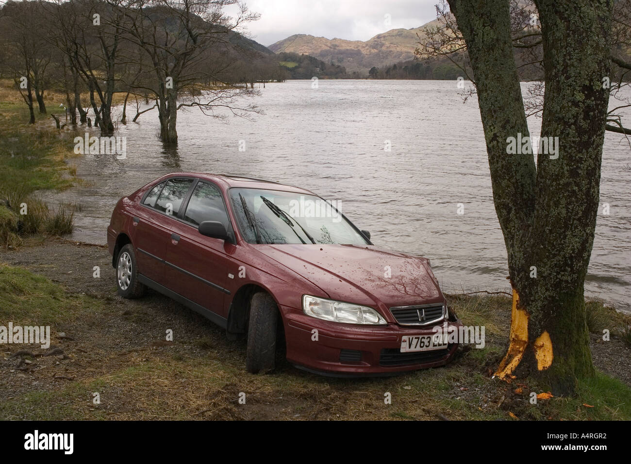 Car near tree hi-res stock photography and images - Alamy