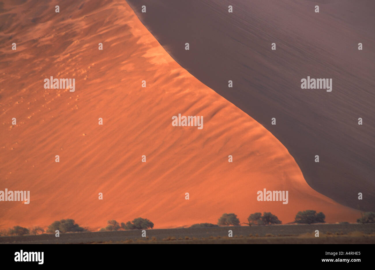 Sandune landscape hi-res stock photography and images - Alamy