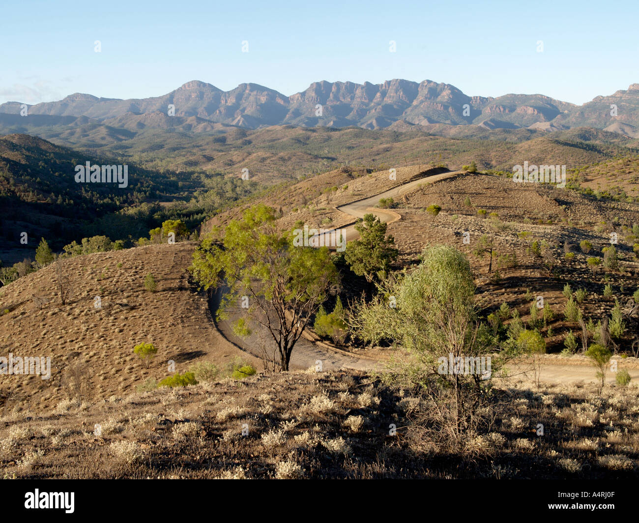 Flinders ranges national park south tree scrub bush landscape land hi ...