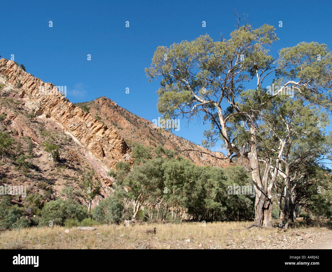 GEOLOGICAL ROCK FEATURES FLINDERS RANGES NATIONAL PARK WHILST ...
