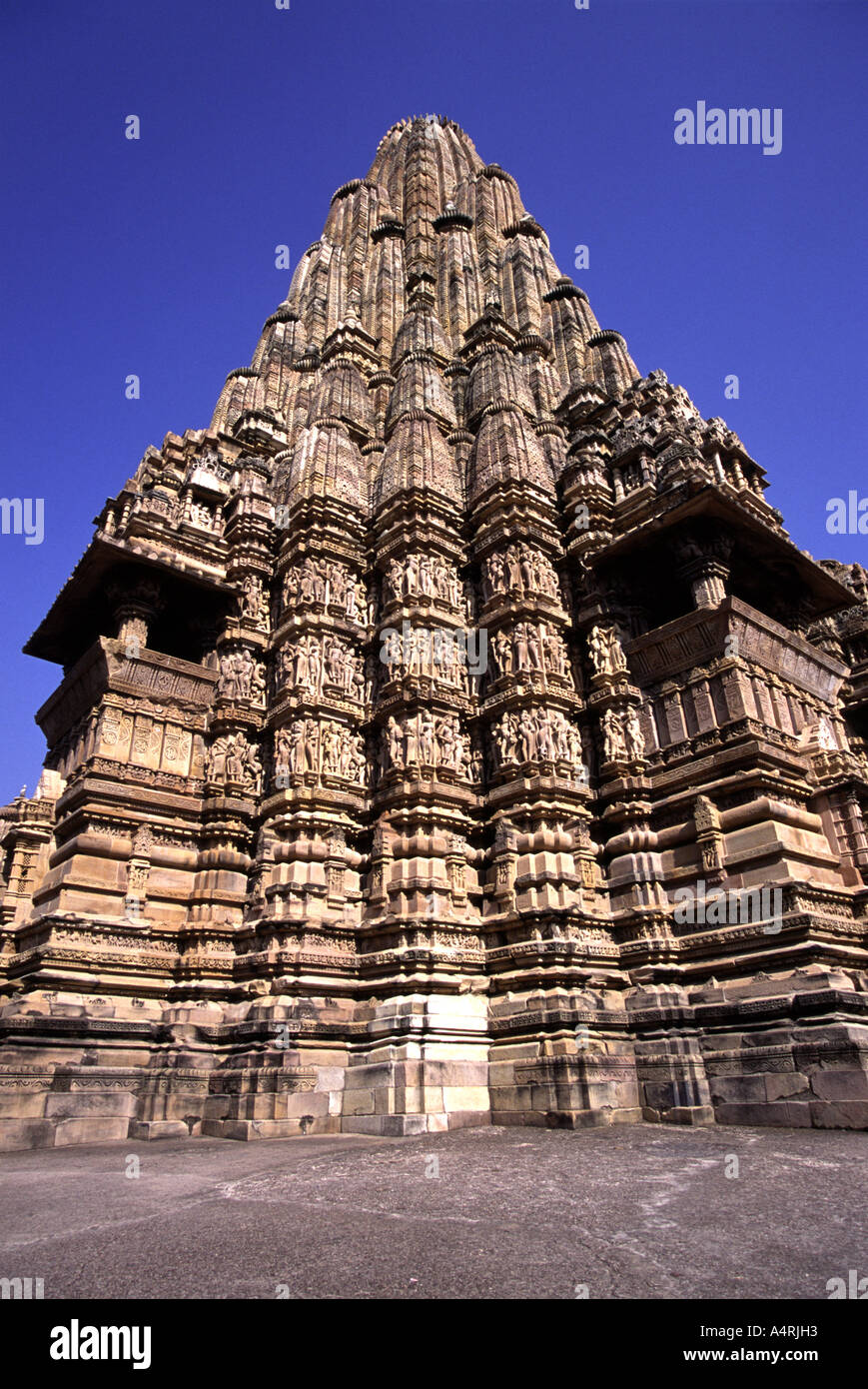 Mahadua hi-res stock photography and images - Alamy