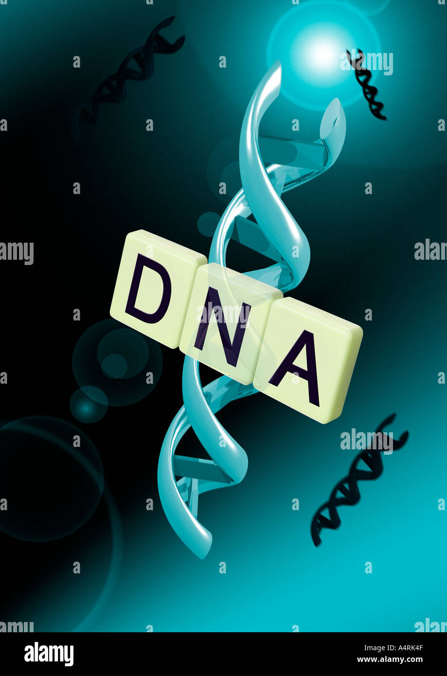Letters DNA with helix Schriftzug DNA mit Alphadoppelhelix Stock Photo ...