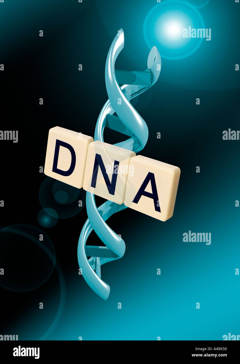 Letters DNA with helix Schriftzug DNA mit Alphadoppelhelix Stock Photo ...
