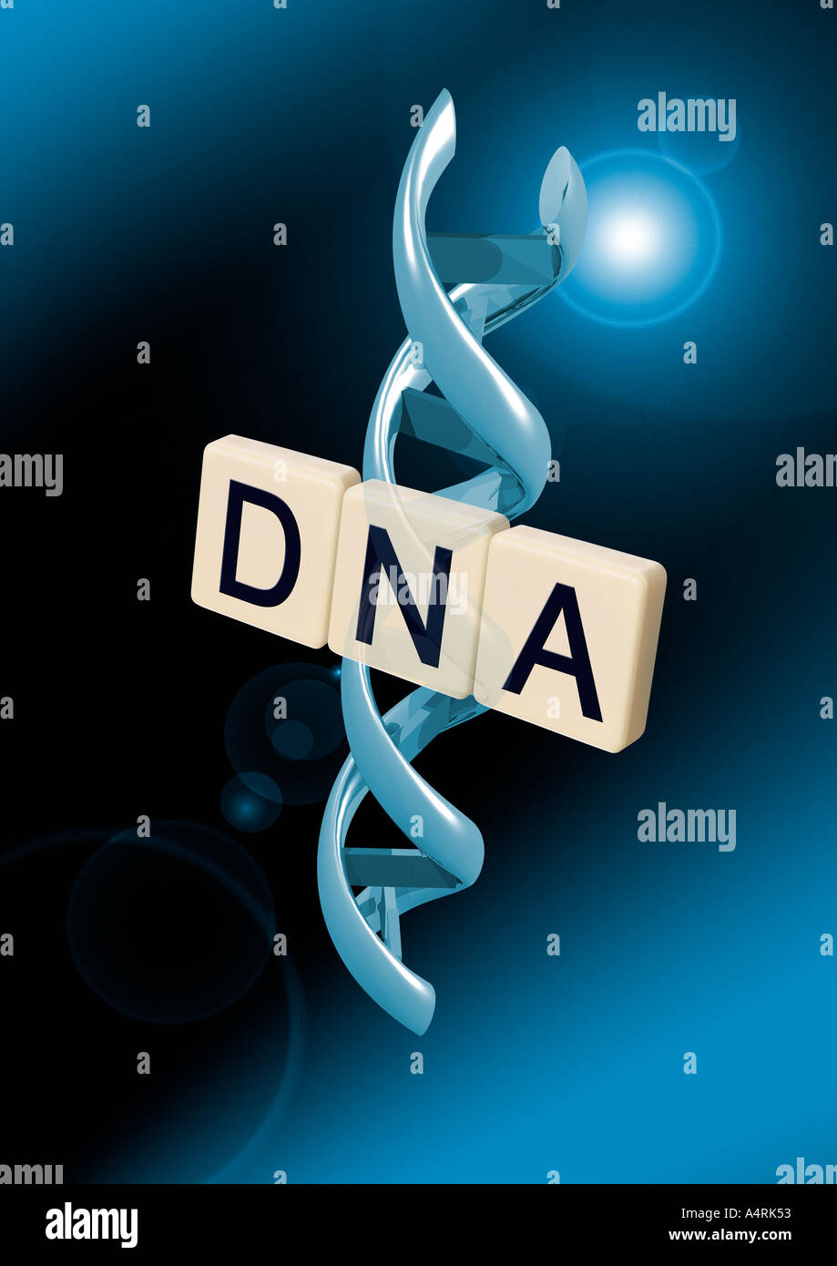 Letters DNA with helix Schriftzug DNA mit Alphadoppelhelix Stock Photo ...