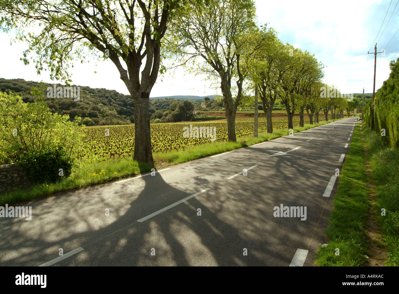 Typical french tree lined road hi-res stock photography and images - Alamy