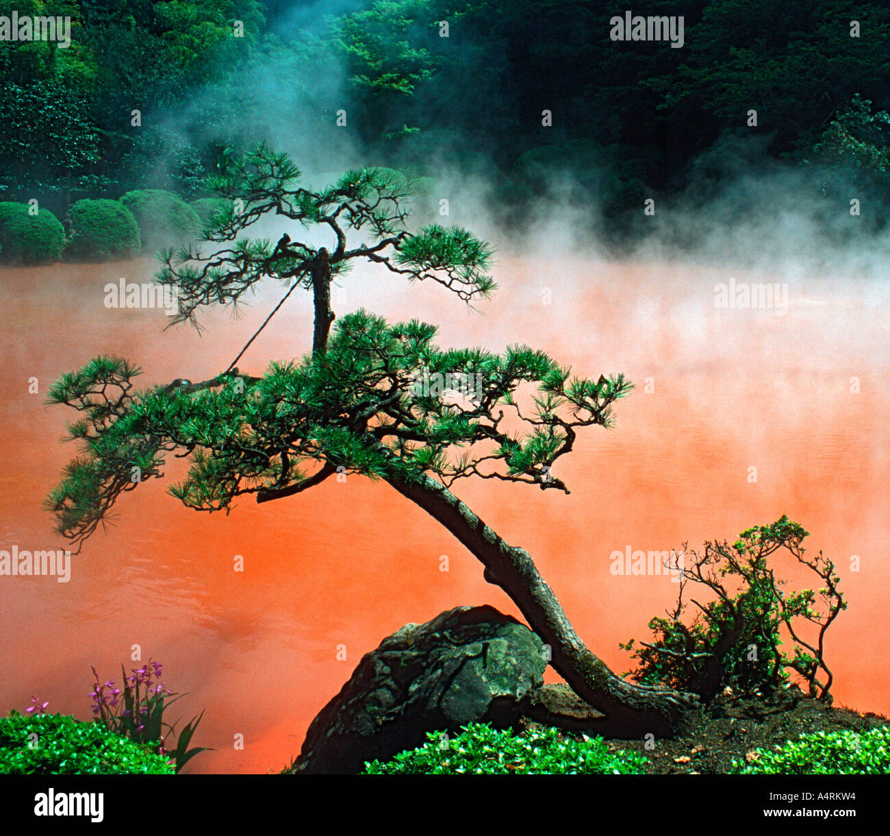 Geothermal Pool Chinoike Jigoku (Blood Pool Hell ), Beppu, Japan Stock ...