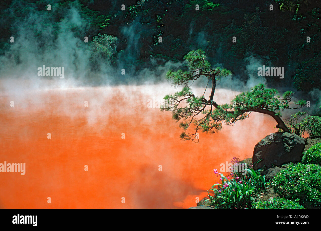 Geothermal Pool Chinoike Jigoku (Blood Pool Hell ), Beppu, Japan Stock ...