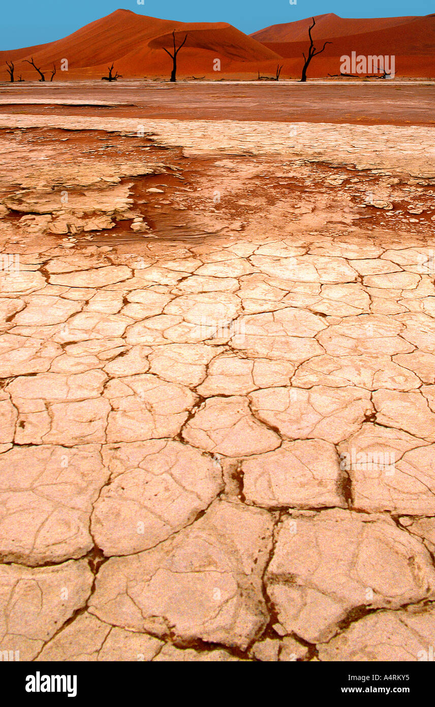 Dead Vlei 2 Stock Photo - Alamy