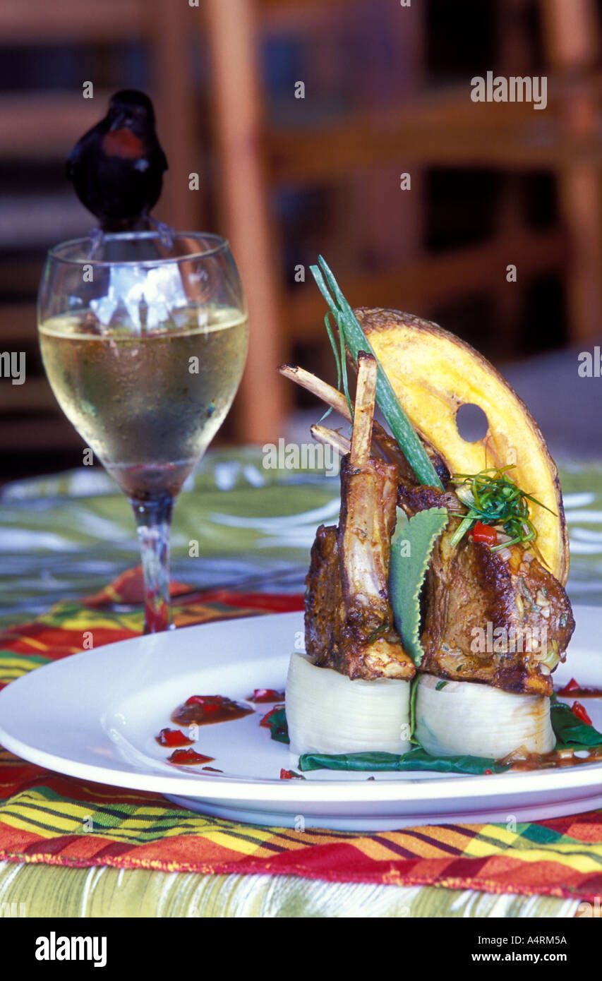 Piton Beer High Resolution Stock Photography and Images - Alamy