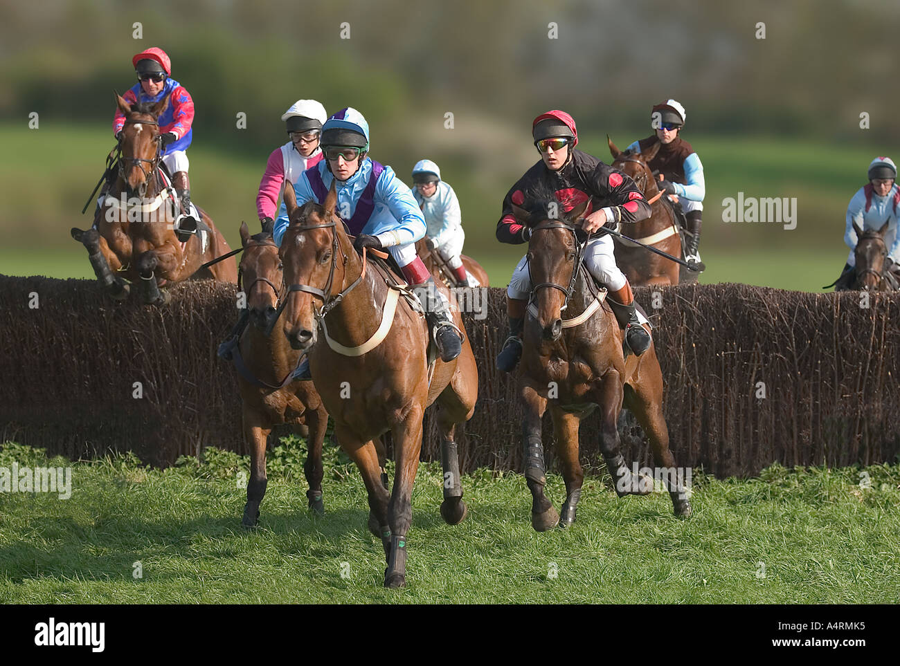 Jump riders racing at point to point hi-res stock photography and ...