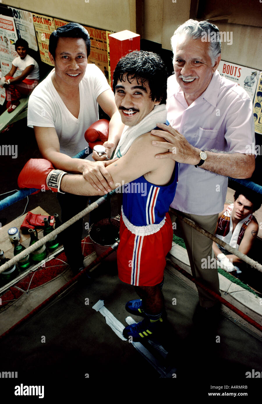 Ready to spar hi-res stock photography and images - Alamy