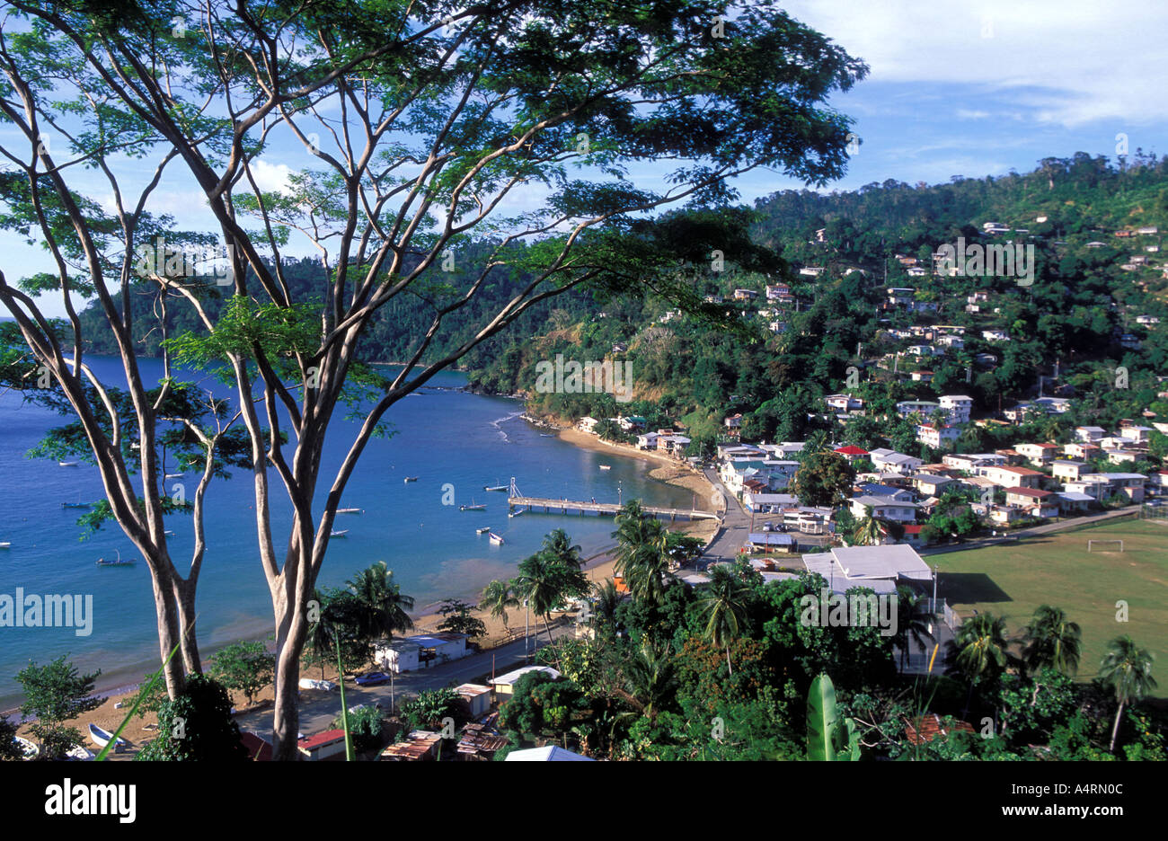 An elevated view over Charlotteville a fishing village in northern ...