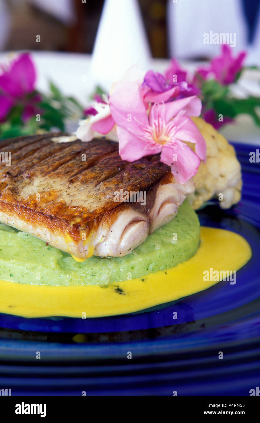 Caribbean salmon on wasabi mashed potatoes and saffron sauce in the ...