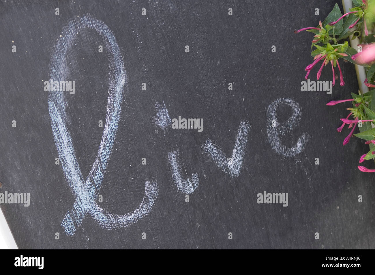 Live text written on hi-res stock photography and images - Alamy